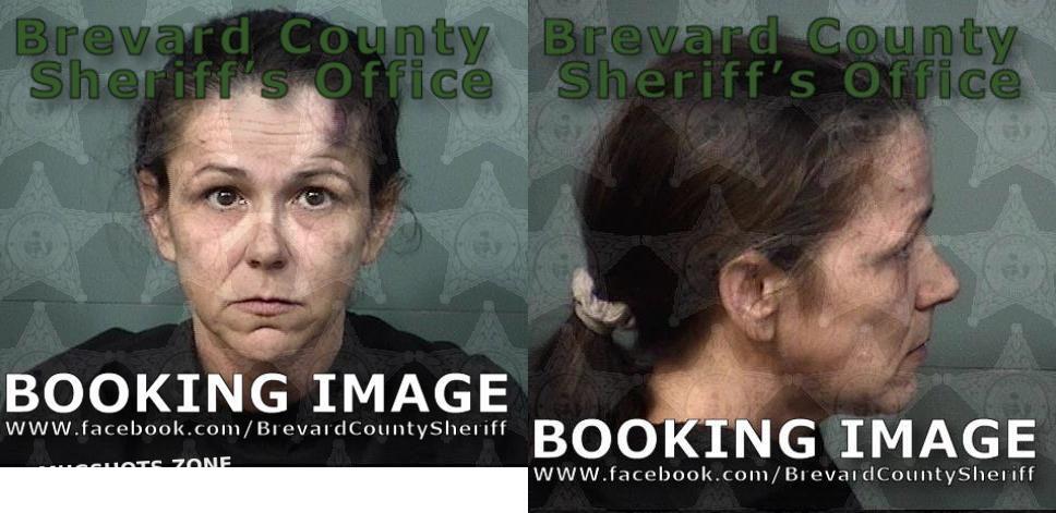 POULOS JAMIE EVELENA 03/02/2025 - Brevard County Mugshots Zone