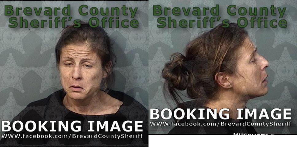 ENGSTROM AMANDA KAY 03/07/2025 - Brevard County Mugshots Zone
