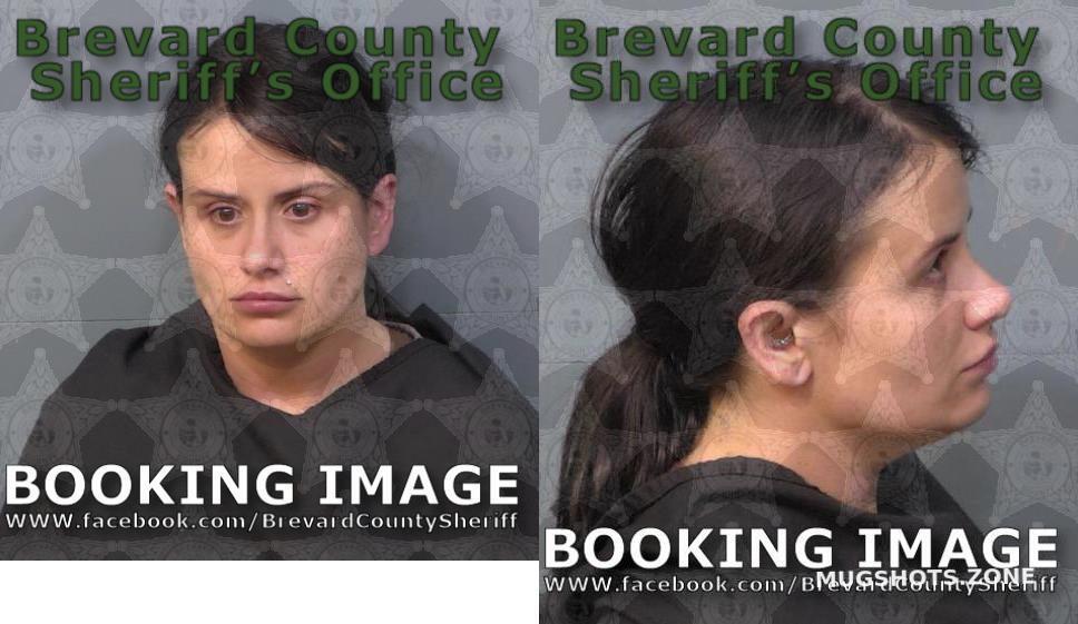 TIDWELL LISA MARIE 03/11/2025 - Brevard County Mugshots Zone
