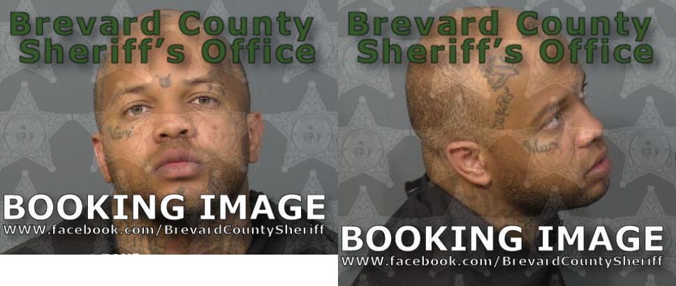 MITCHELL CORWIN SKY 03/11/2025 - Brevard County Mugshots Zone