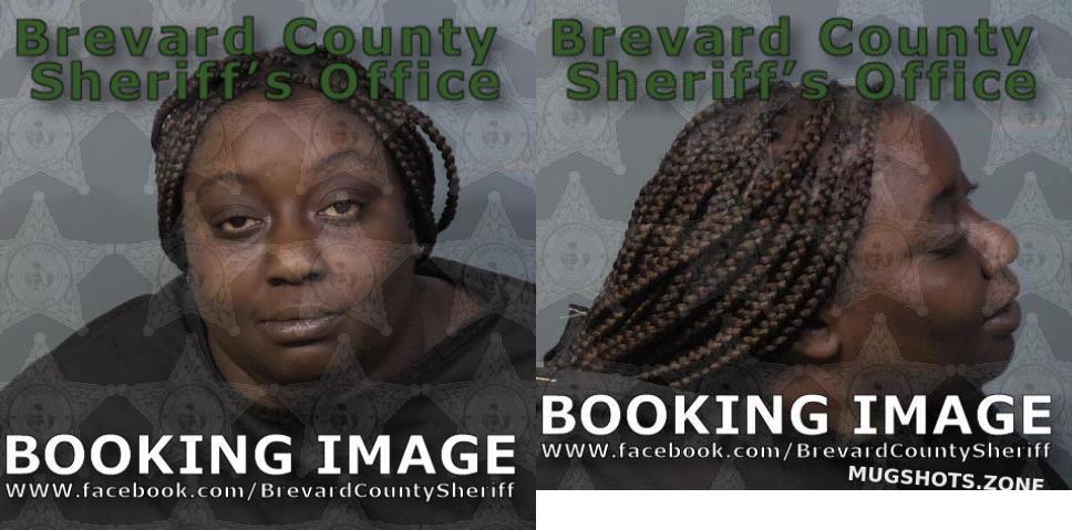 WHITE TAMEKIA SHAQWANA 03/14/2025 - Brevard County Mugshots Zone