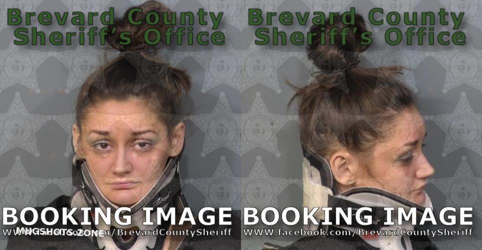 FINK ERICA LEE 03/17/2025 - Brevard County Mugshots Zone