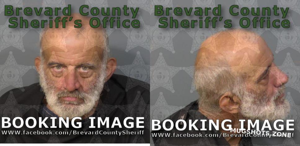 WATSON ROBERT WILLAM 03/19/2025 - Brevard County Mugshots Zone
