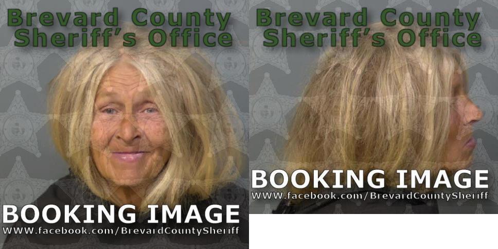 KEAN ROBIN GAIL 03/20/2025 - Brevard County Mugshots Zone