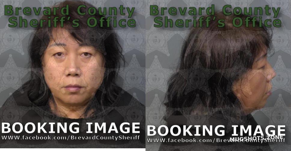 CAI SHUFENG 03/28/2025 - Brevard County Mugshots Zone