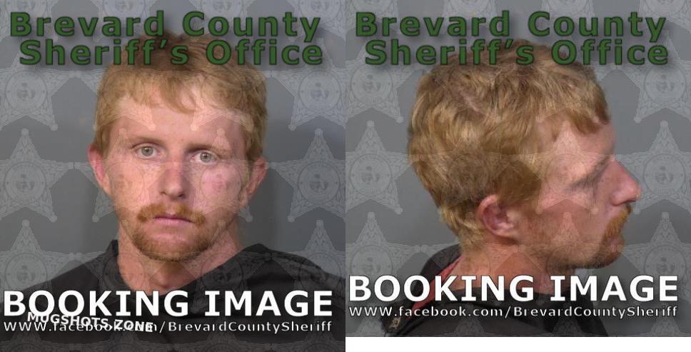 WEED DALLAS SCOTT 03/28/2025 - Brevard County Mugshots Zone