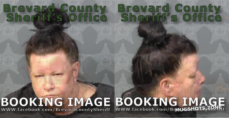 GONZALEZ WILDA ELLEN 04/01/2025 - Brevard County Mugshots Zone