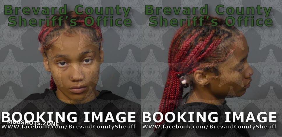 SAUNDERS HAYWOOD LAILANI ASHAUNA 04/02/2025 - Brevard County Mugshots Zone