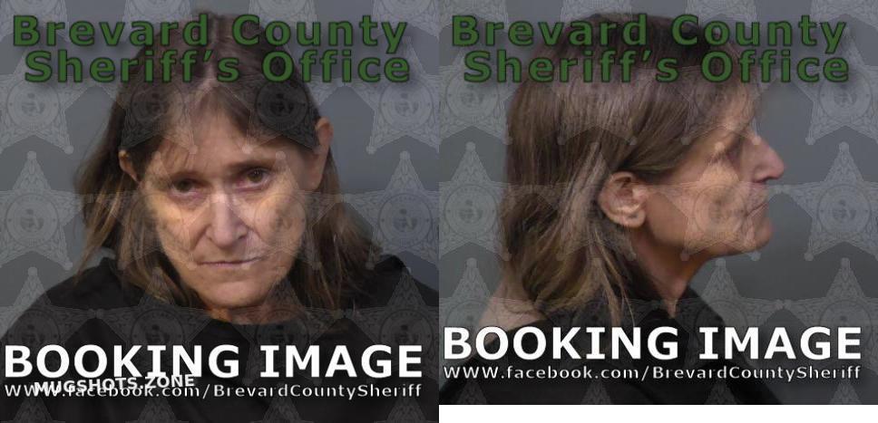 GREINER LAURA SUE 04/16/2025 - Brevard County Mugshots Zone