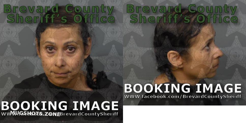 ALCALA THOMAS CONNIE ELLEN 04/19/2025 - Brevard County Mugshots Zone