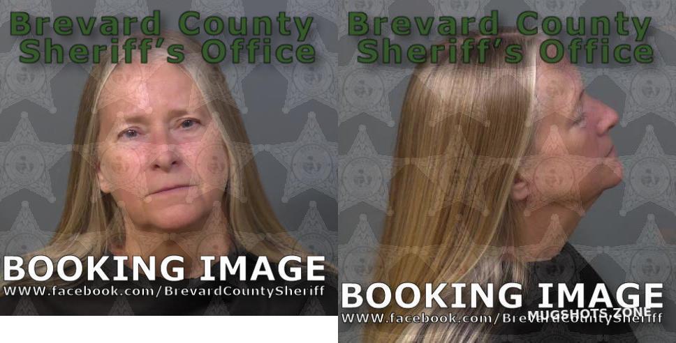 RYERSON NANCY SUE 04/19/2025 - Brevard County Mugshots Zone