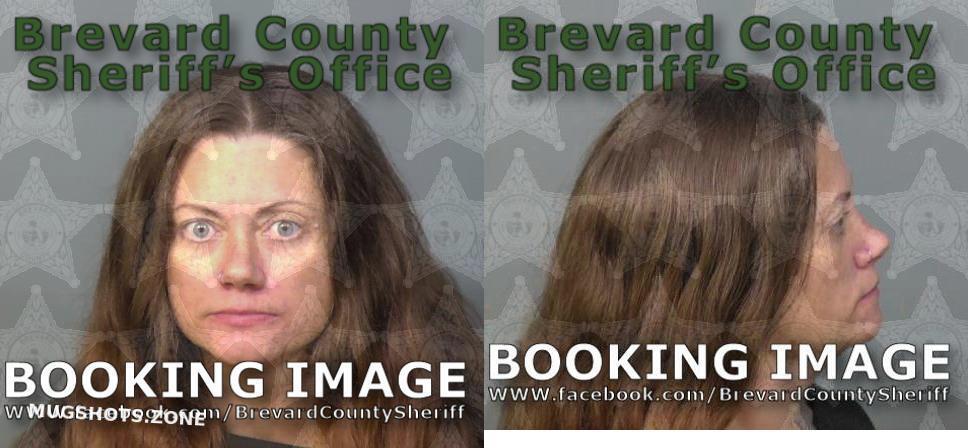 WALDROP DALE LEE 04/25/2025 - Brevard County Mugshots Zone