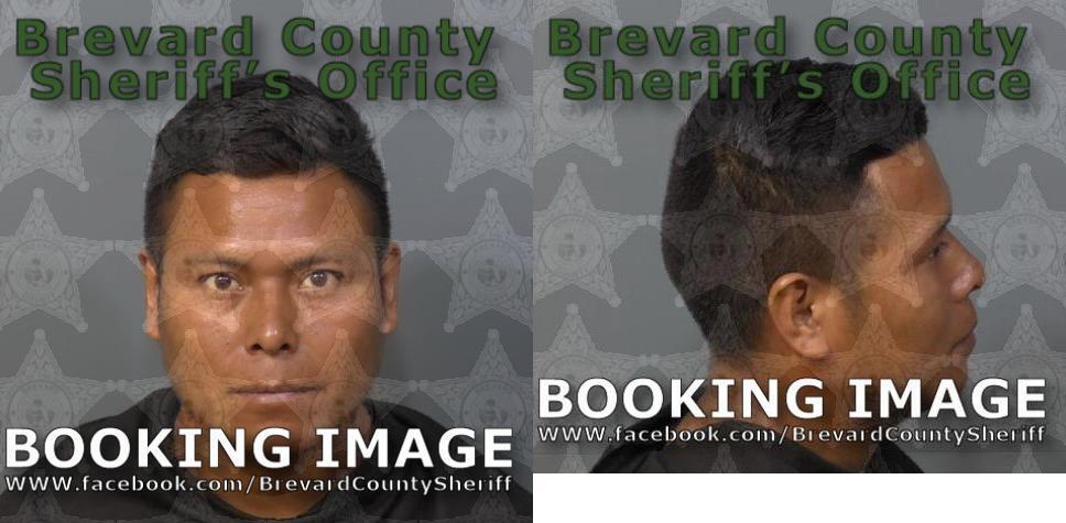 GABRIEL RAMIREZ EFRAIN 04/26/2025 - Brevard County Mugshots Zone