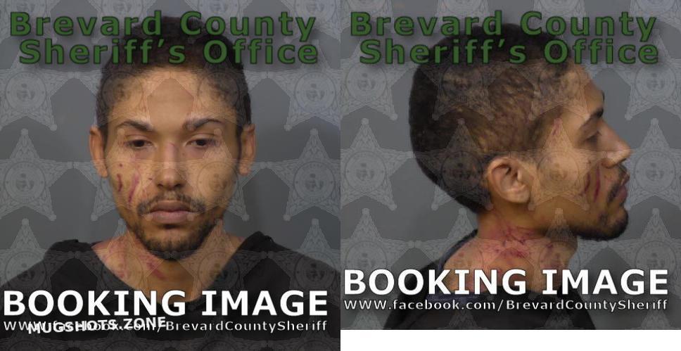 JORDAN ADRIAN CHRISTIAN 04/29/2025 - Brevard County Mugshots Zone
