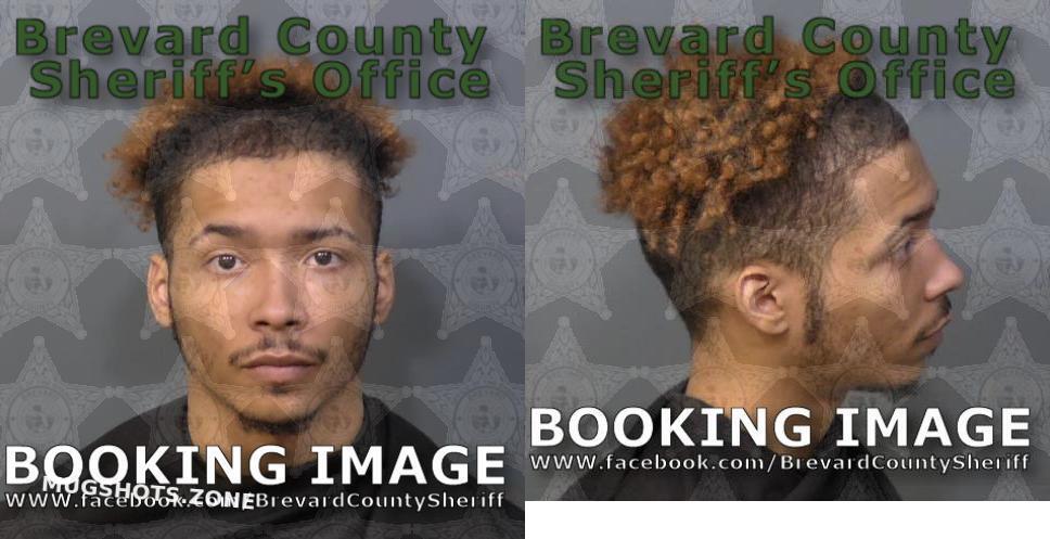 DILLARD DALE MICHAEL 05/06/2025 - Brevard County Mugshots Zone