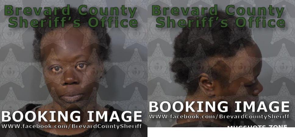 WILLIAMS SHERELLE REGINA 05/08/2025 - Brevard County Mugshots Zone