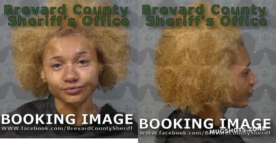 SHRADER ALANA JOY 05/15/2025 - Brevard County Mugshots Zone