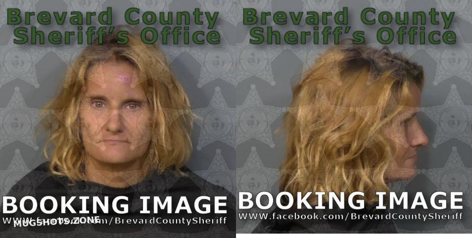 BEELER HEATHER RENE 05/29/2025 - Brevard County Mugshots Zone