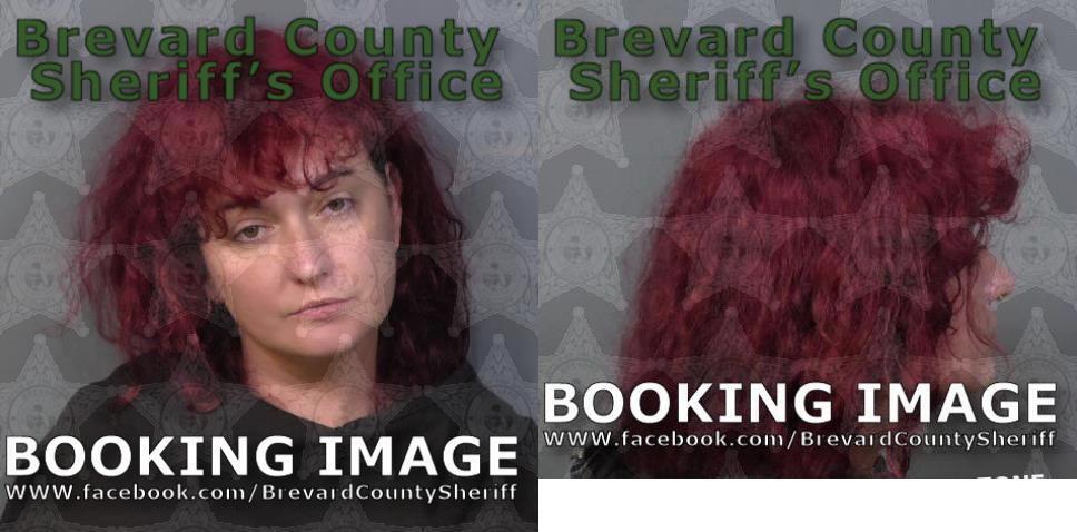 STELLING JESSICA JOY 06/03/2025 - Brevard County Mugshots Zone