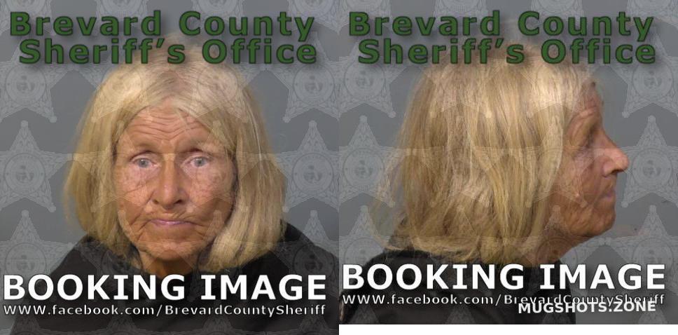 KEAN ROBIN GAIL 06/08/2025 - Brevard County Mugshots Zone