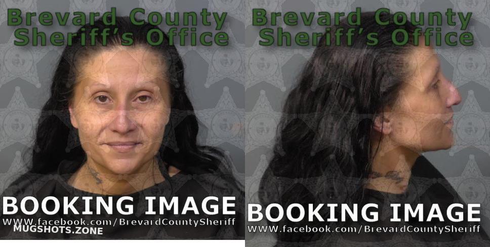 ZAMPELLA MICHELLE RENEE 06/14/2025 - Brevard County Mugshots Zone