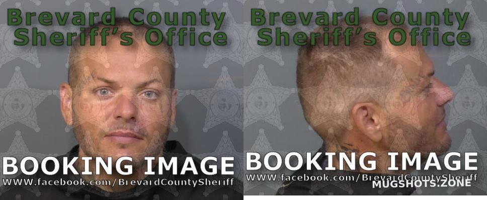 TASSINARI STEVEN DAVID 06/19/2025 - Brevard County Mugshots Zone