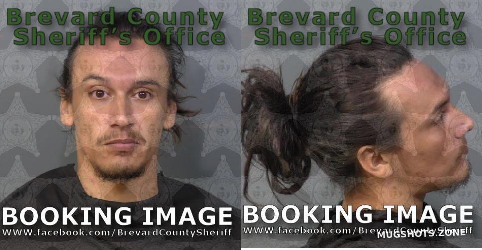 WILLIAMS RICHARD ALEXANDER 07/02/2025 - Brevard County Mugshots Zone