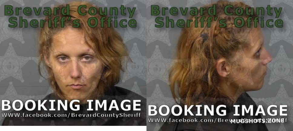 PAYNE MISTY DESIREE 07/04/2025 - Brevard County Mugshots Zone