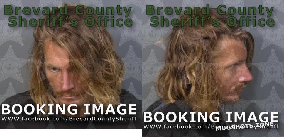 BELLIS AUSTIN COREY 07/10/2025 - Brevard County Mugshots Zone