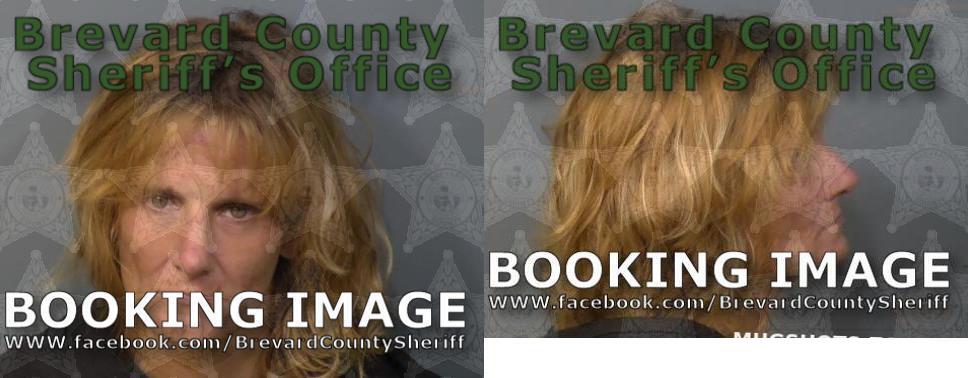 BEELER HEATHER RENE 07/10/2025 - Brevard County Mugshots Zone