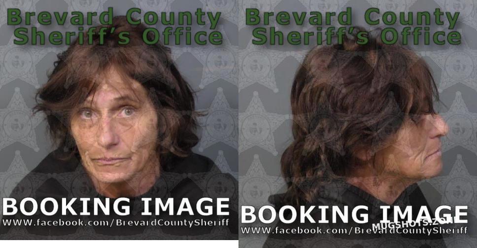 NEWSOME WENDY LORRAINE 07/17/2025 - Brevard County Mugshots Zone
