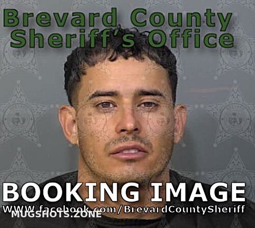LEON FERNANDEZ CAMILO 11/03/2025 - Brevard County Mugshots Zone