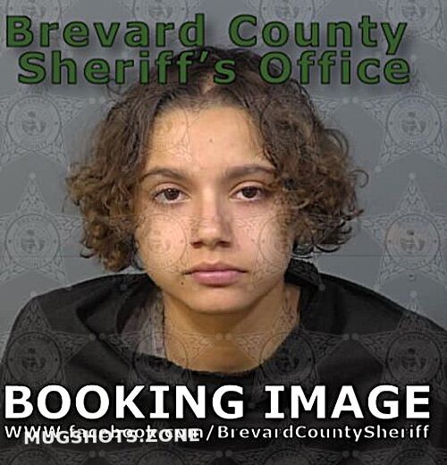 SHAFQUAT AVA LEE 11/16/2025 - Brevard County Mugshots Zone