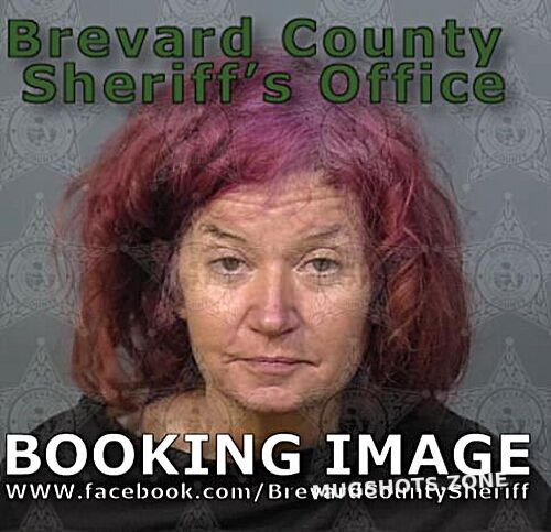 BARBER VALERIE ANNE 02/11/2026 - Brevard County Mugshots Zone