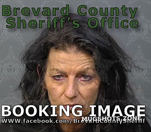 SMITH MICHELLE ANNE 02/11/2026 - Brevard County Mugshots Zone