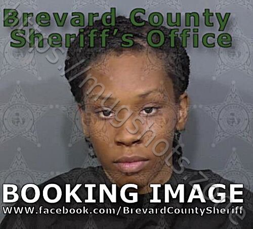BRIMMER DESTINY CHEYENNE 03/15/2026 - Brevard County Mugshots Zone