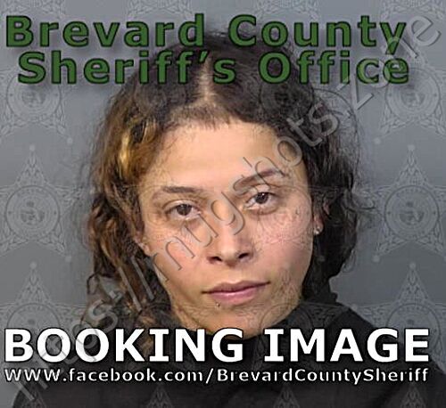 CANDANOSA SARAH ANNE 05/06/2026 - Brevard County Mugshots Zone