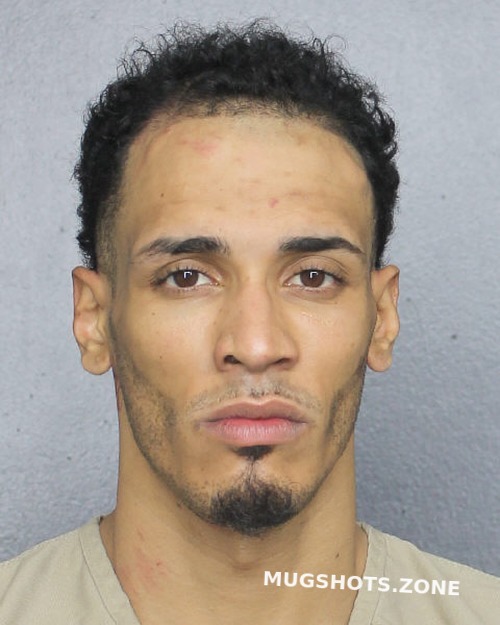 REYES REY 01/04/2021 - Broward County Mugshots Zone
