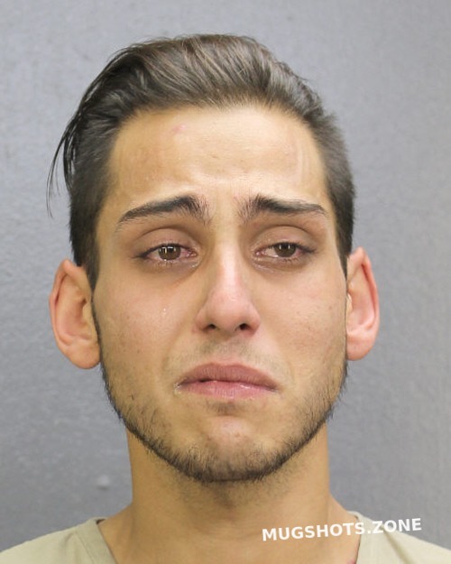 WHITE ROMEO 01/06/2021 - Broward County Mugshots Zone