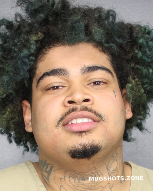 AMPARO ALBERTO GREGORY 01/14/2021 - Broward County Mugshots Zone