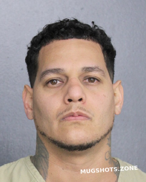 TORREALBA FELIPE ALEXANDER 01/19/2021 - Broward County Mugshots Zone