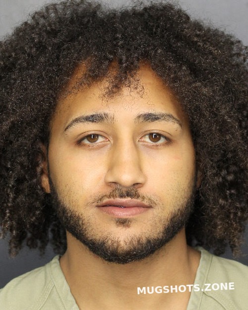 YEYE BRAYDEN 04/06/2021 - Broward County Mugshots Zone