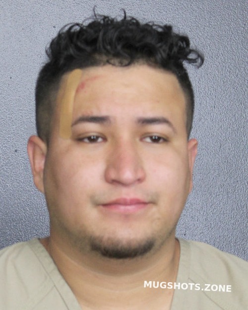 GONZALEZ TOBAR JONATHAN 04/17/2021 - Broward County Mugshots Zone