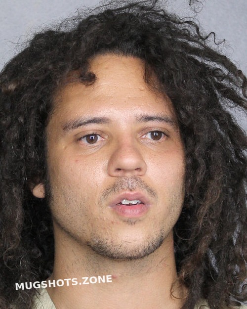 DIAZ AUSTIN ANTHONY 04/22/2021 - Broward County Mugshots Zone