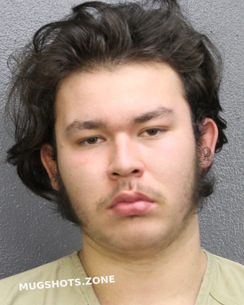 DAVIS ALEXANDER 06/11/2021 - Broward County Mugshots Zone