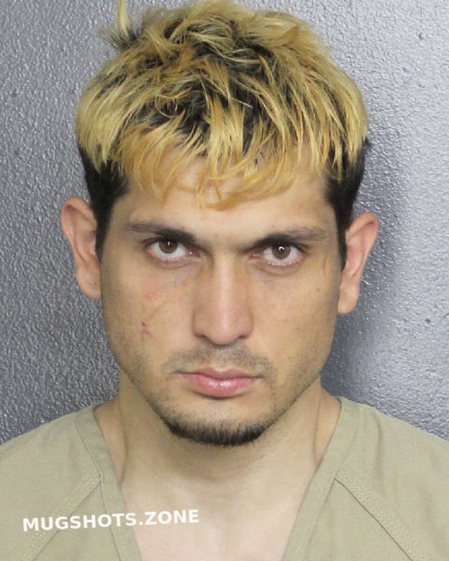 WILLIAMS KENNETH J 06/21/2021 - Broward County Mugshots Zone