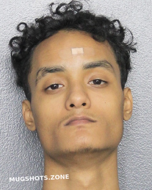 PICHARDO JOSHUA 02/25/2022 - Broward County Mugshots Zone