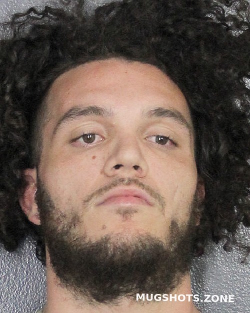 MOSS MARMOLEJOS LEVIT 04/02/2022 - Broward County Mugshots Zone