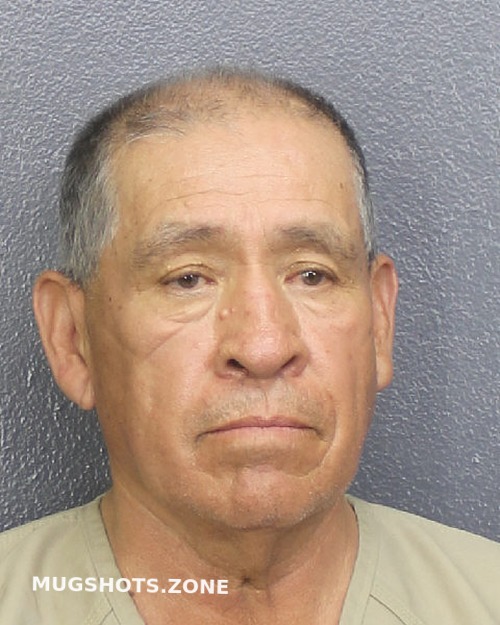 ROMERO-MENDES NICOLAS 06/09/2022 - Broward County Mugshots Zone