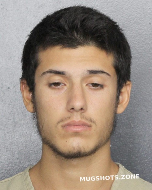 HORWITZ NOAH DARIO 10/24/2022 - Broward County Mugshots Zone